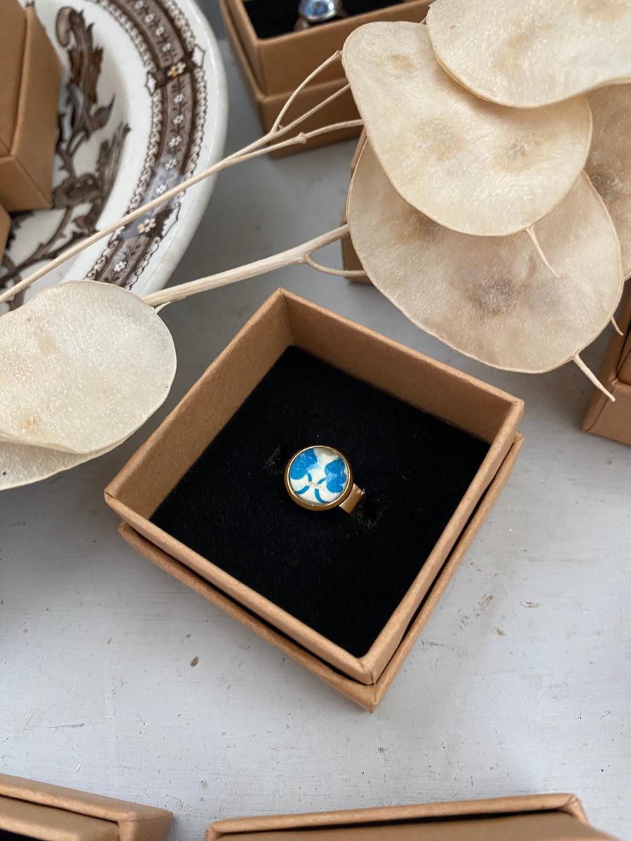 Rings – The Nature Narrator